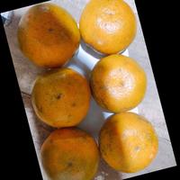 Jual Jeruk Medan Super Terdekat - Harga Murah & Grosir Mei 2024