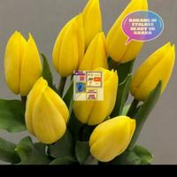 Jual Bunga Tulip Asli Murah & Terbaik - Harga Terbaru Agustus 2022