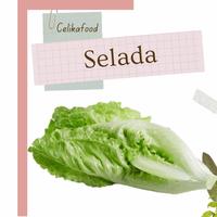 Jual Selada Bokor Terdekat - Harga Murah & Grosir Juli 2025