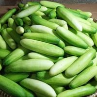 Jual Timun 1kg Murah - Harga Terbaru 2025