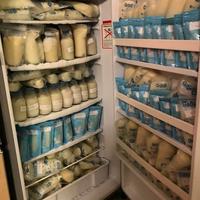 Jual Freezer Asi Terlengkap - Daftar Harga Juni 2024 & Cicilan 0%