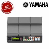 Jual Yamaha Dtx Multi 12 Terlengkap - Harga Murah Mei 2024