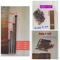 Paku Kayu Kokoh & Pilihan Ukuran Terlengkap Mei 2024