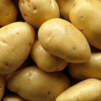 Jual Kentang 1Kg Terdekat - Harga Murah & Grosir Oktober 2025
