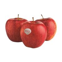 Apel Segar Varian Terlengkap, Harga Termurah! 2024