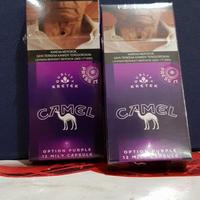 Jual Camel Mild Terlengkap - Harga Murah & Grosir Maret 2024