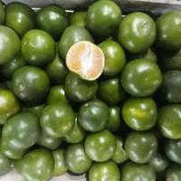 Jual Jeruk Peras 1 Kg Terlengkap - Daftar Harga Juni 2024 & Cicilan 0%