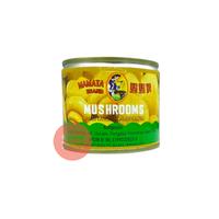 Jual Jamur Kancing Kaleng Terbaik - Harga Murah Mei 2024 & Cicil 0%