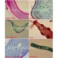 Jual Preparat Murah - Harga Terbaru April 2024