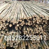 Jual Bambu Umbul Umbul Murah & Terbaik - Harga Terbaru April 2024