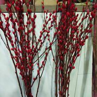 Jual Bunga Willow Terlengkap - Harga Murah & Grosir Desember 2022