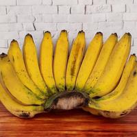 Pisang Raja Harga Termurah & Grosir - Pilihan Terlengkap