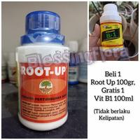 Jual Root Up Terbaik - Harga Murah Februari 2024 & Cicil 0%