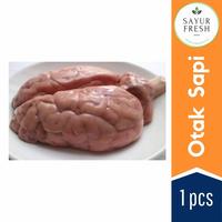 Otak Sapi Fresh & Harga Termurah Februari 2024