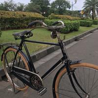 Jual Sepeda Gazelle Seri Murah & Terbaik - Harga Terbaru Juni 2024