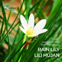 Jual Bunga Lily Putih Terbaik - Harga Murah Mei 2024 & Cicil 0%