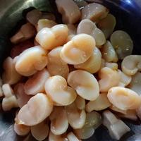 Jual Scallop Terdekat - Harga Murah & Grosir April 2025