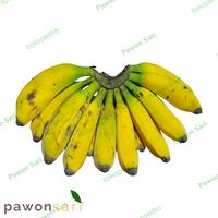 Pisang Raja Segar Berkualitas, Harga Termurah! Mei 2024