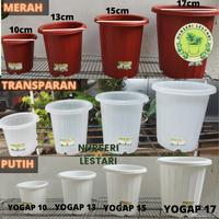 Jual Pot Tanaman Terbaik - Harga Murah Maret 2026 & Cicil 0%