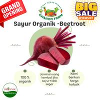 Buah Bit Harga Termurah & Grosir - Pilihan Terlengkap