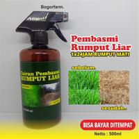 Jual Semprot Rumput Terbaik - Harga Murah Juni 2024 & Cicil 0%