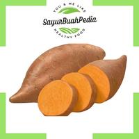 Jual Ubi Kuning Terdekat - Harga Murah & Grosir Mei 2023