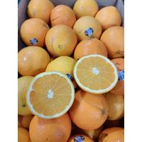 Jual Jeruk 1kg Murah - Harga Terbaru 2024
