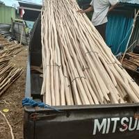 Jual Kayu Gelam Terbaik - Harga Murah Maret 2024 & Cicil 0%