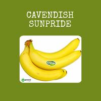 Pisang Cavendish Harga Termurah - Pilihan Favorit