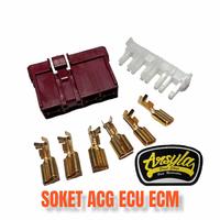 Jual Ecu Beat Terlengkap - Harga Murah Desember 2024 & Cicil 0%