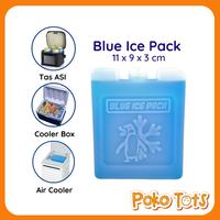 Jual Ice Pack Terlengkap - Harga Murah Januari 2025 & Cicil 0%