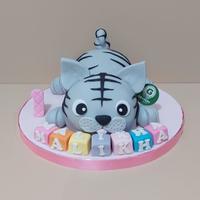 Jual Kue Kucing Terlengkap & Terbaik - Harga Murah Mei 2024