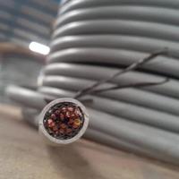 Jual Kabel Liycy Terbaru - Harga Murah Maret 2025 & Cicil 0%