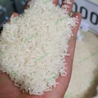 Beras Pera Harga Termurah April 2024 - Tokopedia