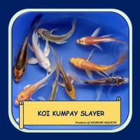 Jual Koi Slayer Terlengkap & Terbaik - Harga Murah Maret 2025