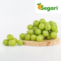 Jual Anggur Muscat Terdekat - Harga Murah & Grosir Juni 2024