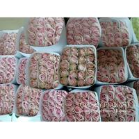 Bunga Mawar 1 Tangkai Indah & Romantis! Terbaru April 2024