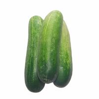 Jual Timun 1kg Murah - Harga Terbaru 2025