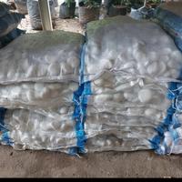 Jual Batu Coral Putih Terlengkap & Terbaik - Harga Murah Juni 2024