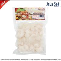 Jual Scallop Terdekat - Harga Murah & Grosir April 2024