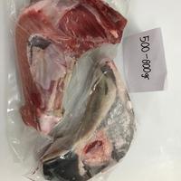 Jual Rahang Tuna Terdekat - Harga Murah & Grosir Februari 2024