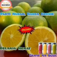 Jual Jeruk Baby Java Murah - Harga Terbaru Juni 2024