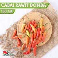 Jual Cabe Rawit Domba Terbaik - Harga Murah Juni 2024 & Cicil 0%