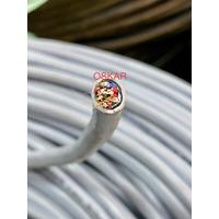 Jual Kabel Telepon 20 Pair Murah & Terbaik - Harga Terbaru Februari 2024