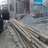 Jual Bambu Steger Terbaik - Harga Murah Juni 2024 & Cicil 0%