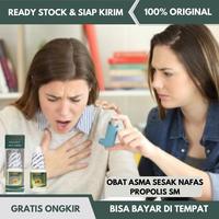 Obat Asma Inhaler Terlengkap & Terbaik Maret 2023 Harga Murah