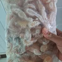 Jual Daging Kodok Terdekat - Harga Murah & Grosir Februari 2023