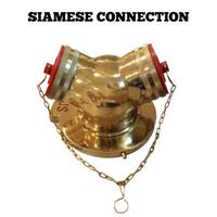 Jual Siamese Connection Terbaik - Harga Murah Juni 2024 & Cicil 0%