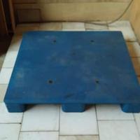 Jual Palet Plastik Murah & Terbaik - Harga Terbaru Maret 2025