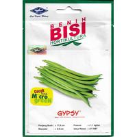 Jual Benih Buncis Terdekat - Harga Murah & Grosir Juni 2024